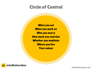 Understanding The Circle Of Influence Vs Circle Of Concern