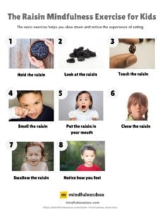 The Raisin Meditation For Mindful Eating (+ PDF)
