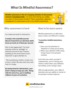 Mindfulness Vs Awareness: What's The Difference?